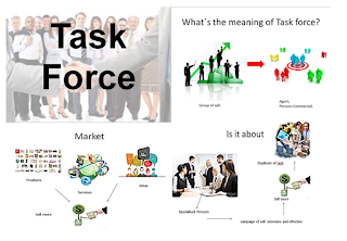 Fundamentos de la Administración : Task Force