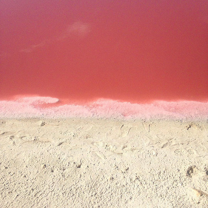 Esta lagoa natural rosa no México parece muito bonita para ser real ...