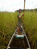Wild Harvests: October 2013