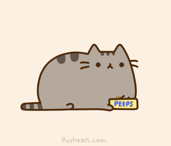 ♥ Pusheen fans ♥