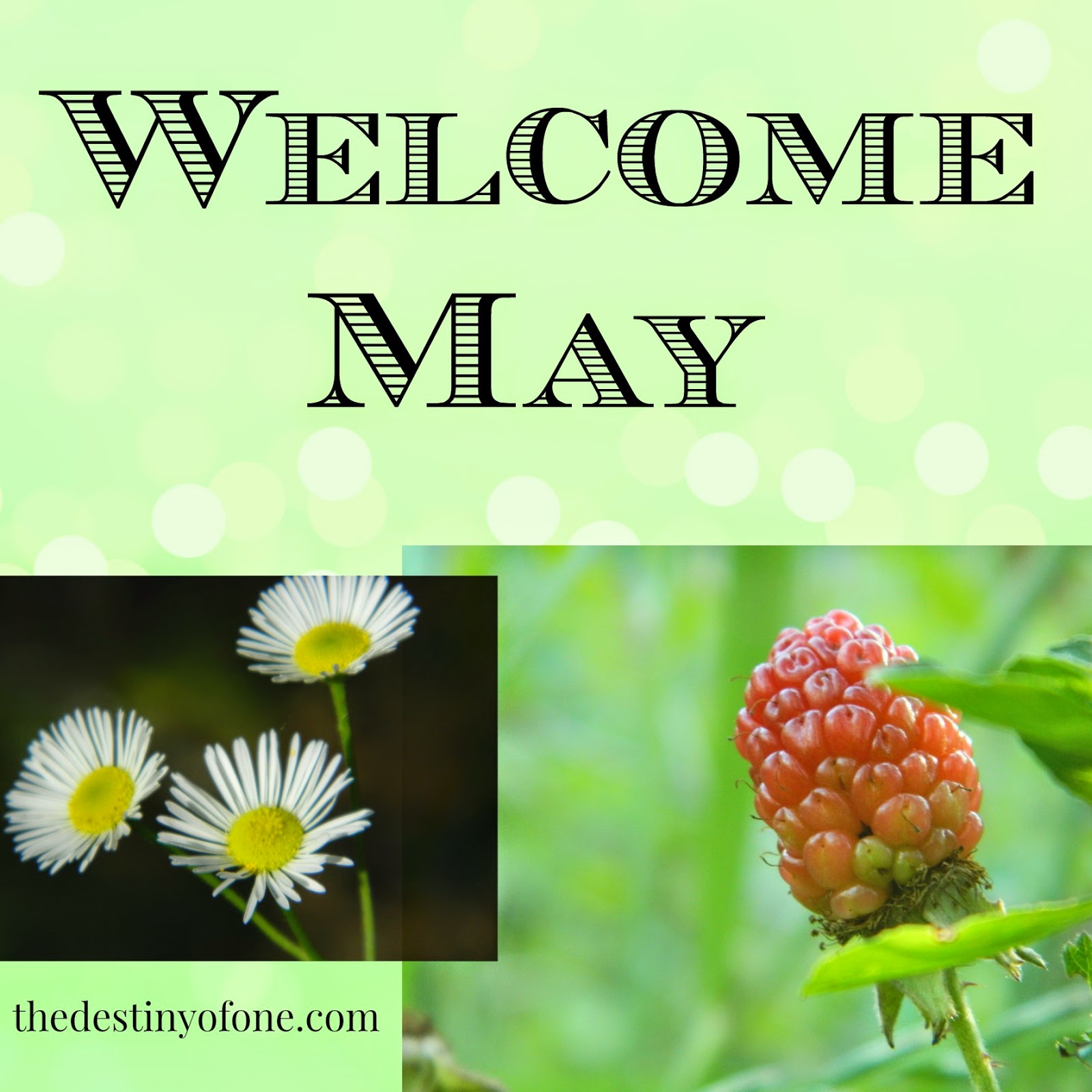 The Destiny of One: Welcome May