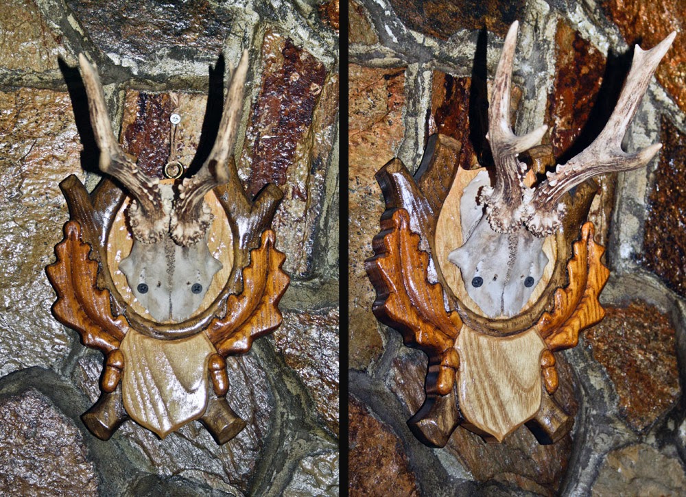 panoplii de vanatoare: trofee de vanatoare, coarne