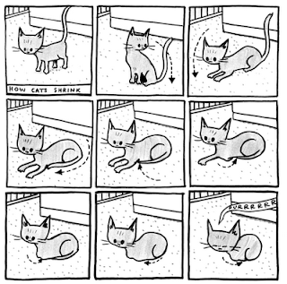 Paula Davey, Animation Module: Cat Movement