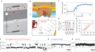 SOL-GEL, NANOSCIENCE AND PHOTONICS: STOCHASTIC SENSING OF PROTEINS WITH ...