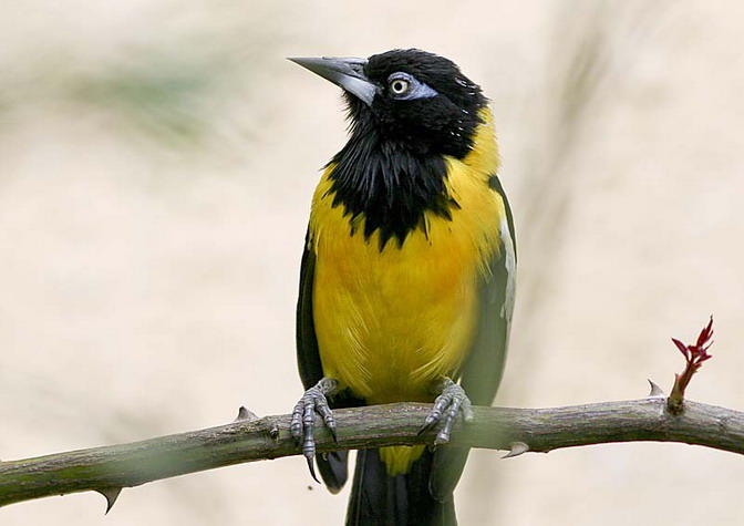 Fotografías, filatelia, numismática y vídeos del canal Ramón Palmeral ...