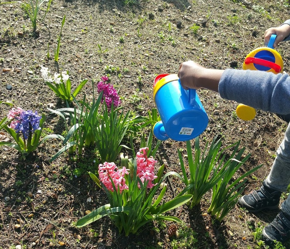 laclassedefrederique: ça pousse