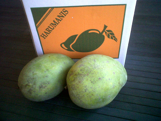 SHOLINA OSMAN - JOURNALIST JOURNEY.......: MEMPELAM HARUM MANIS ...