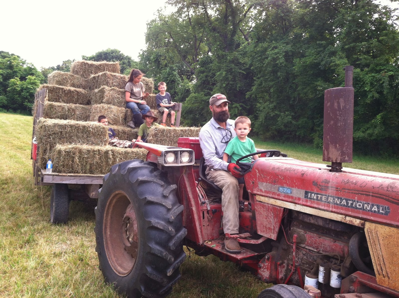 ~*My Father's Sheep*~: 2014 Hay Season