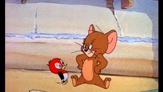 New Kids Cartoon: tom and jerry Hatch Up Your Troubles cartoon in urdu