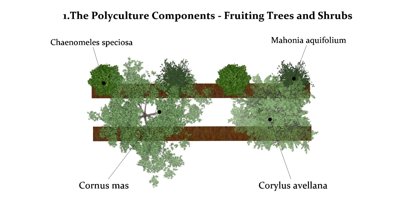 Balkan Ecology Project : The Early Polleniser Polyculture - A Support ...