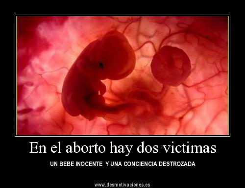 ENTRE LA FE Y LA RAZÓN: ALGUNAS CONSIDERACIONES SOBRE EL ABORTO (2da ...