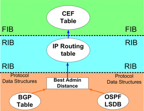 Networking And Scripting : RIB Vs FIB
