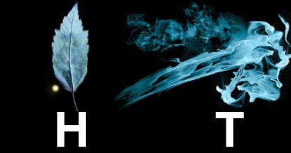 Fringe Glyph Code 505: "An Origin Story" ~ Fringe Television - Fan Site ...