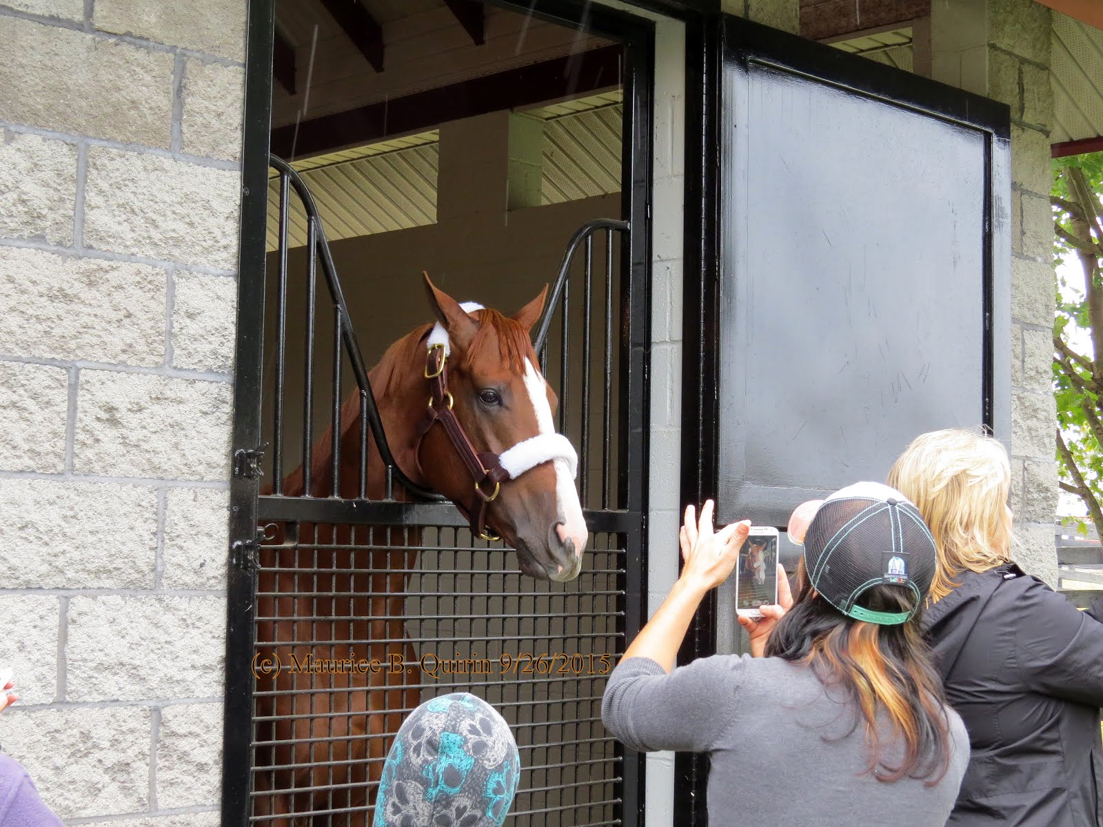 Photos and posts by Maurice B. Quirin: Lexington's Darley Jonabell Farm