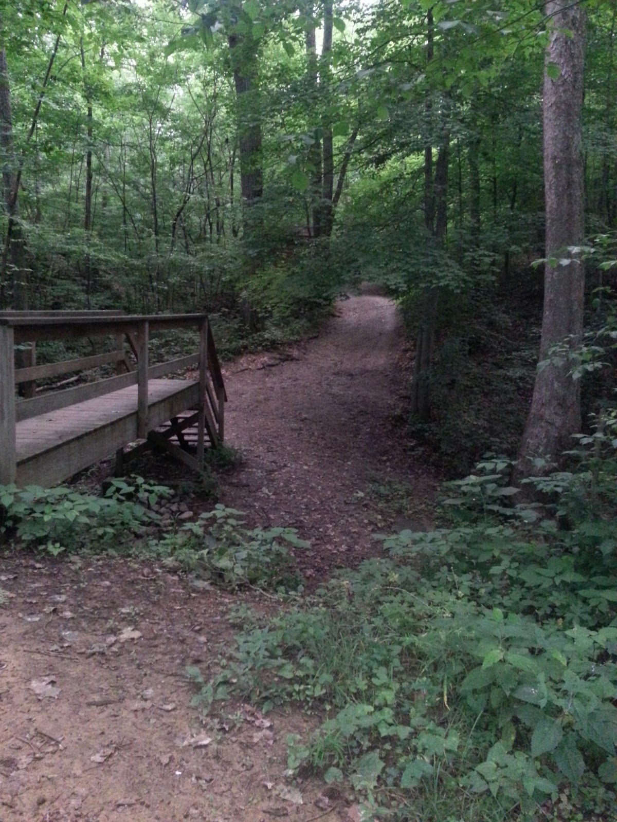 G.H.O.S.T - Greenwood Hauntings On Site Team: Draper's Cabin Experience