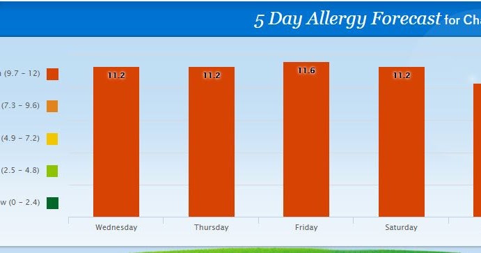 Progressive Charlestown: Bad pollen forecast for Charlestown Progressive Charlestown: Bad pollen forecast for Charlestown