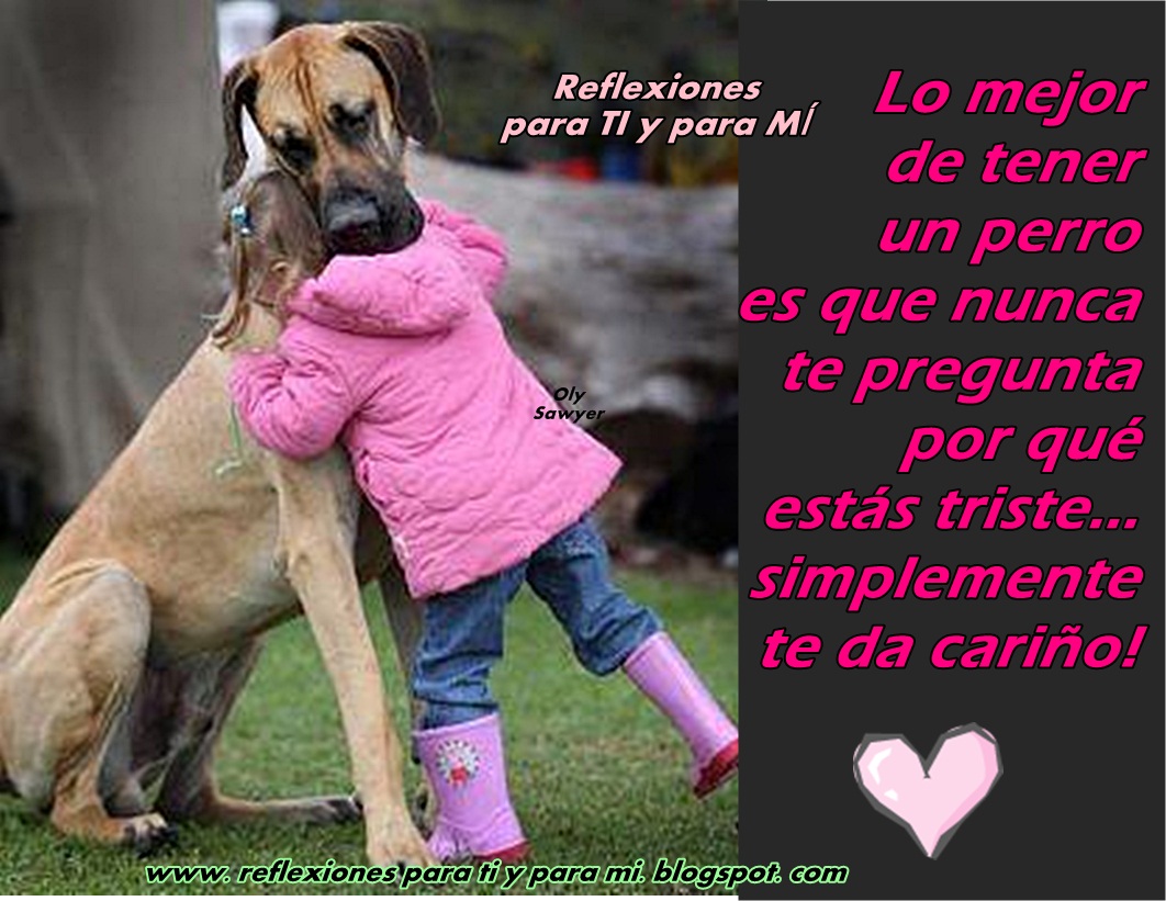 Reflexiones para TI y para MÍ: // Lo mejor de tener un perro es que ...