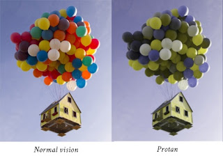 Noticias curiosas: ¿Qué es la protanopía?