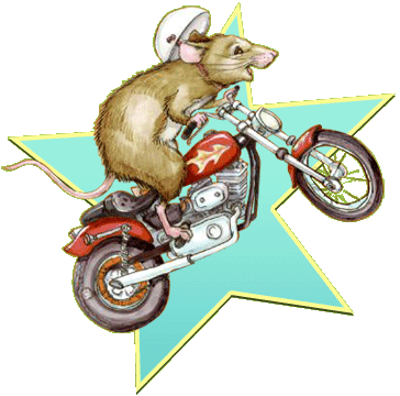 The Mouse and the Motorcycle: Summary