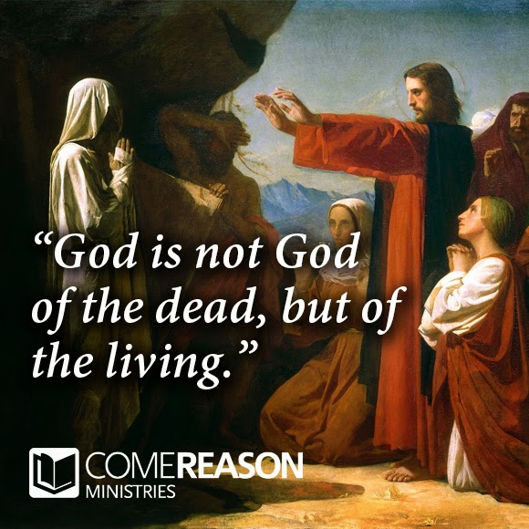 Jesus and Logical Fallacies: Answering Absurd Claims | Come Reason's ...