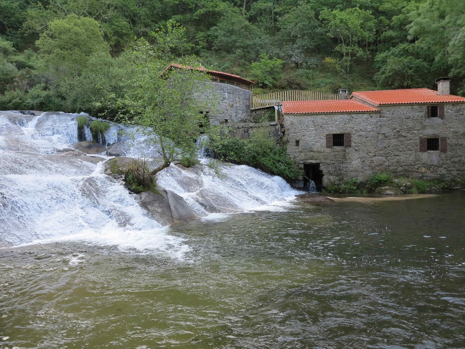 Francisco Javier Torres Goberna: Parque Natural del río Barosa (Barro)