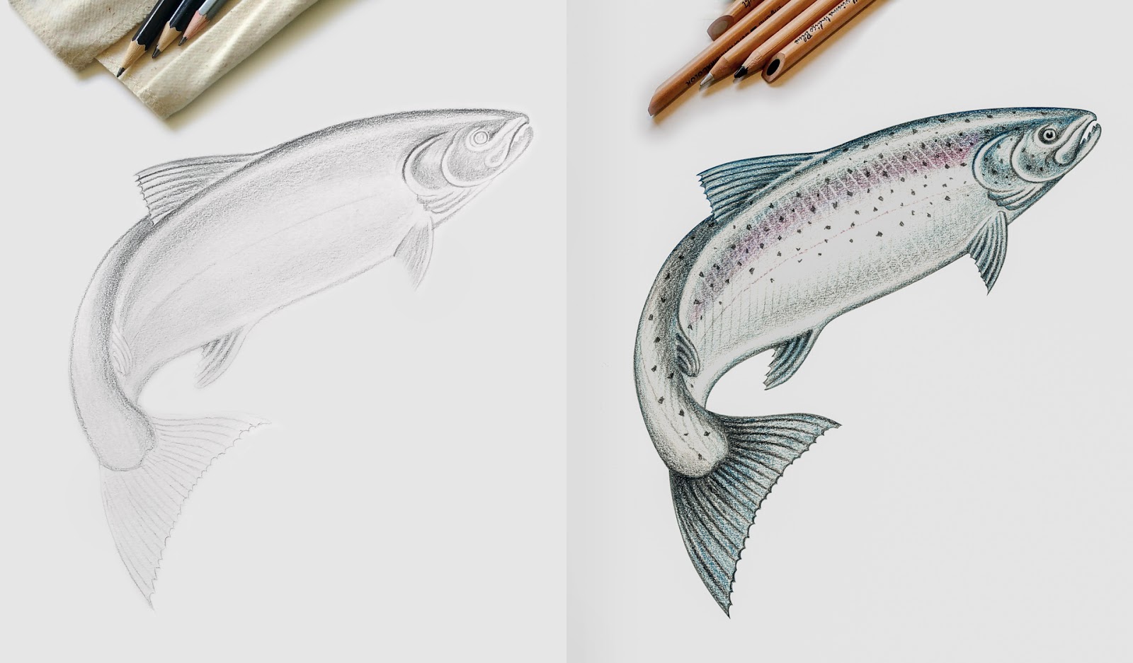 Big Fish – Signature Smoked fish – Packaging Of The World