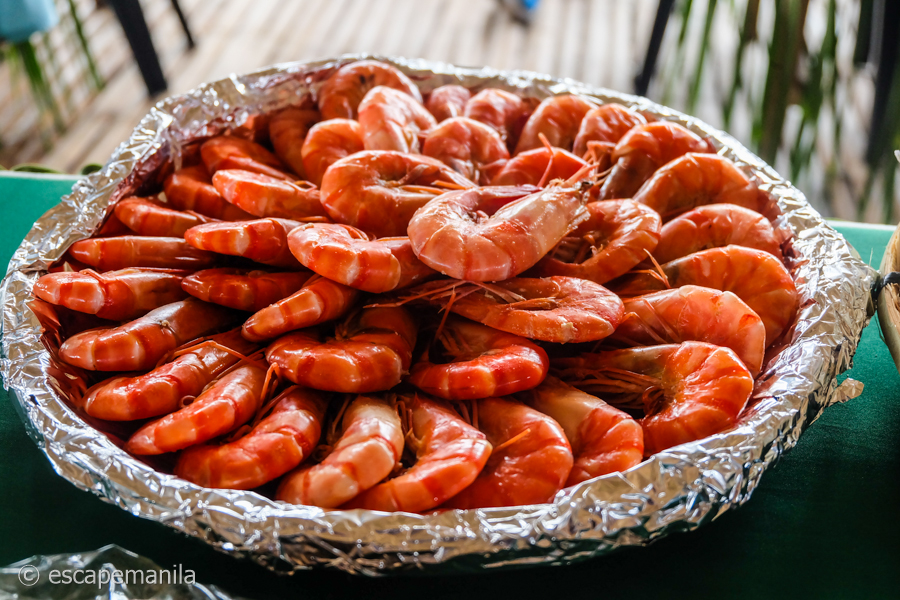 Roxas City : Exploring the Philippines' Seafood Capital - Escape Manila