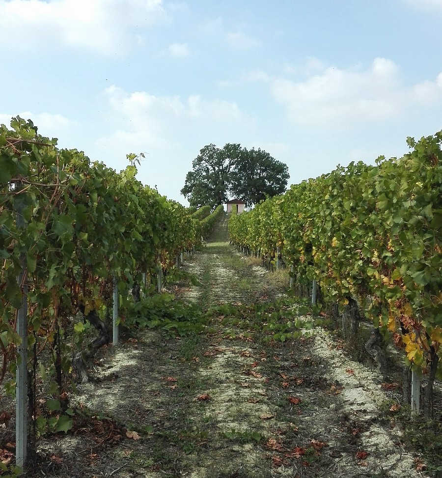 Fotografando...: Tra Gavi e Novi Ligure (AL)