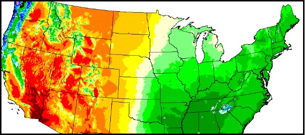 Cactus Care and Propagation