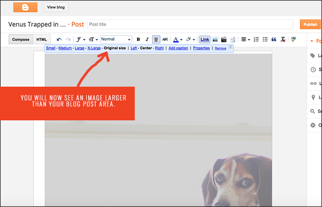How To Manually Size Your Blog's Images Without Using a Photo Editor ...
