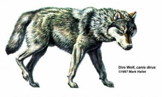 White Wolf : Researchers Find First Evidence of Ice Age Wolves in Nevada