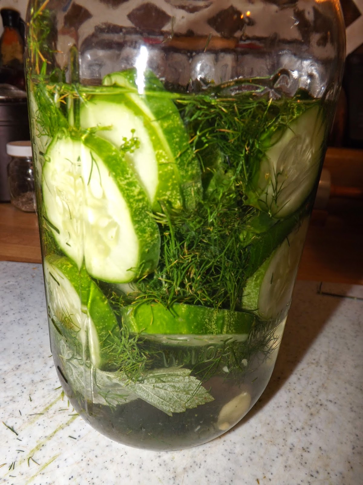 Woodpecker Willows Homestead: 3 Day Refrigerator Dill Pickles