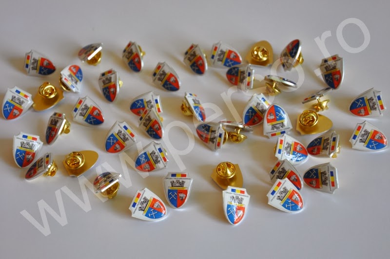 Insigne: Insigne cu pin