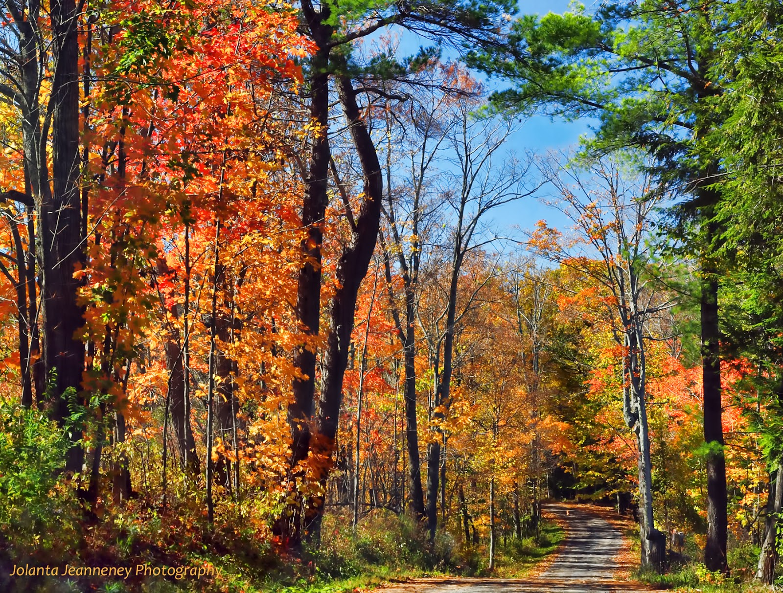 NATURE CALENDARS: Magic colors of October landscapes in the Helderbergs