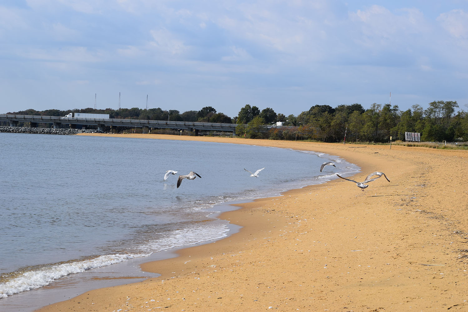 Jason's View from DC: More from Sandy Point State Park