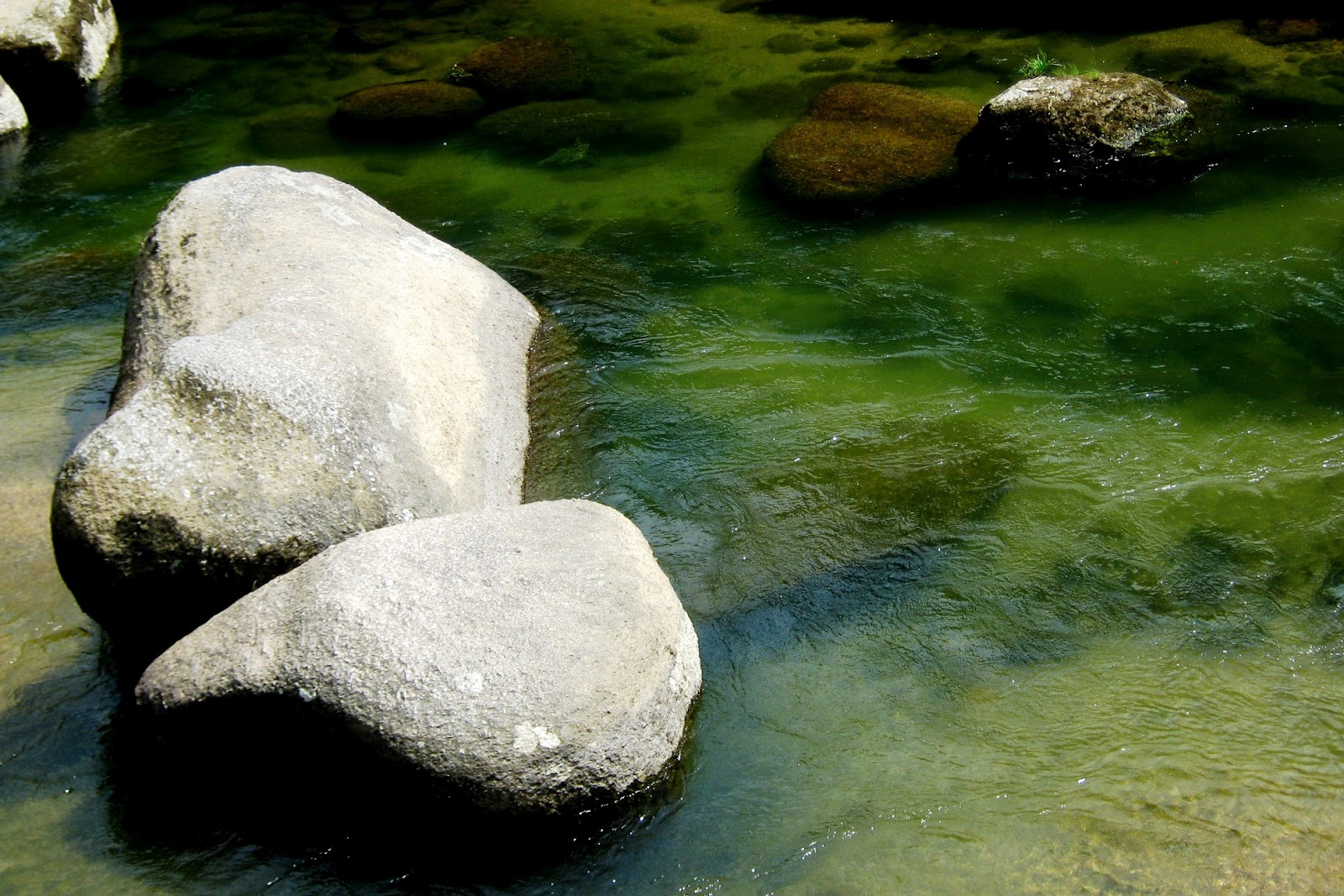 chasing the horizon..: meghalaya: the abode of clouds