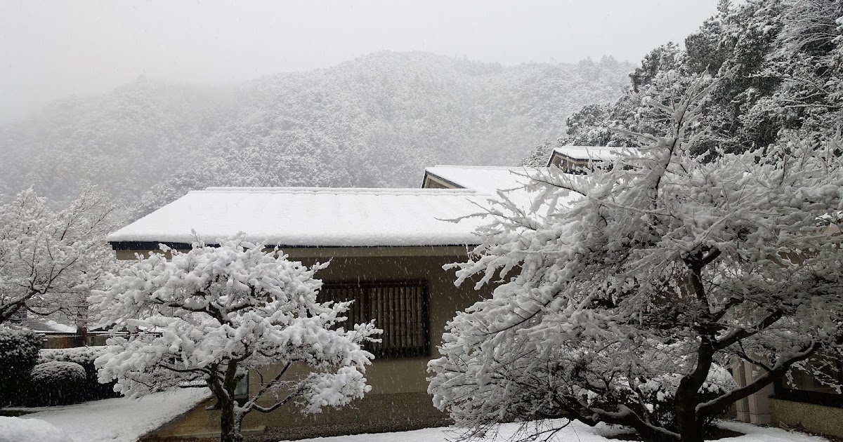 さをり織り工房 めぐみ塾: バス旅は楽し！！
