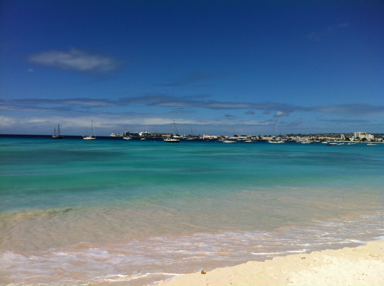 Yellow Fish cruises: Carlisle Bay Beach