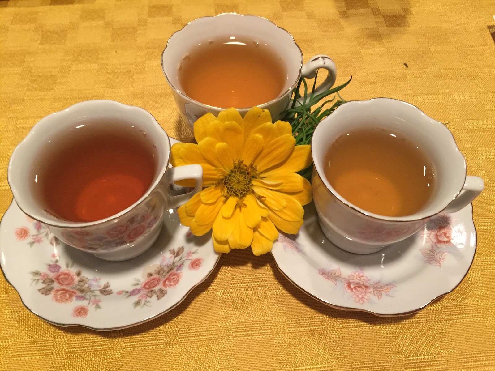 Rosemary's Sampler: Love chocolate? Love tea?