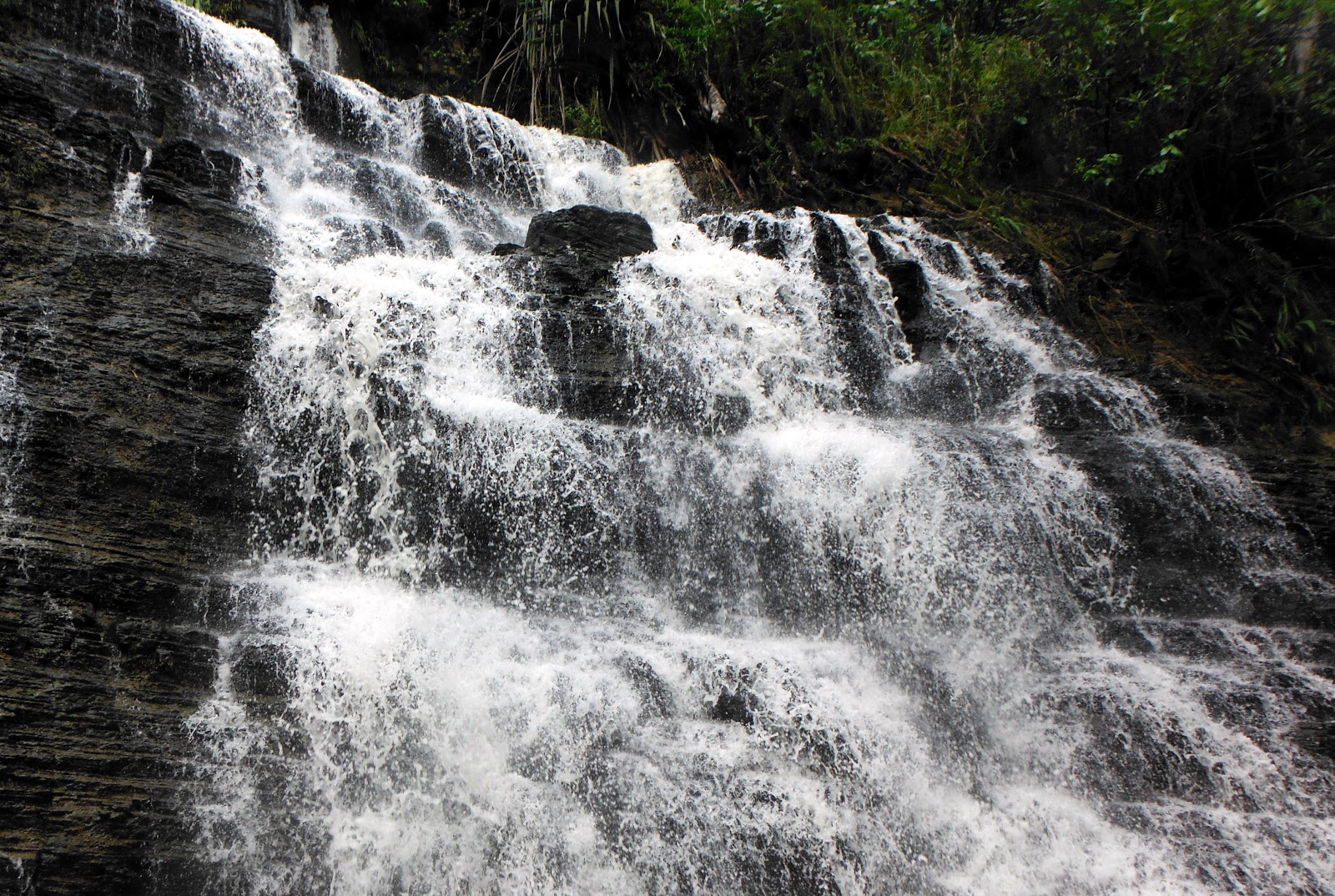 Guamaniacs: Boonie Stomping: Tarzan Falls
