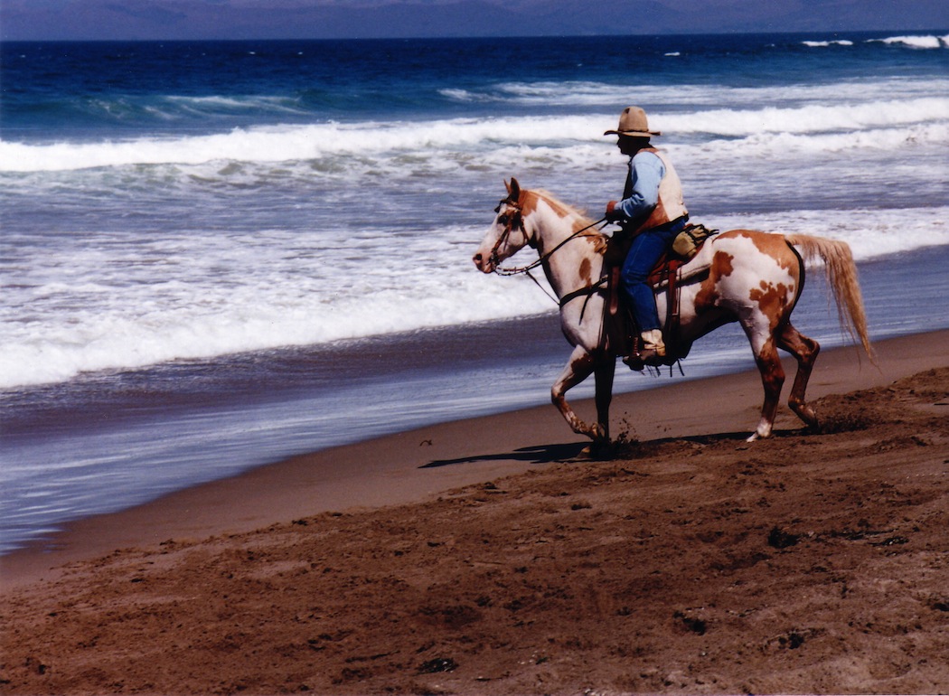 A drifting cowboy: Cowabunga -- the surf's up, dude