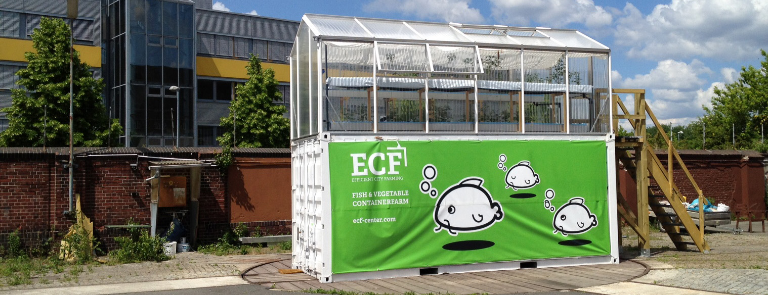 Greenhouse Shipping Container: Converted Containers