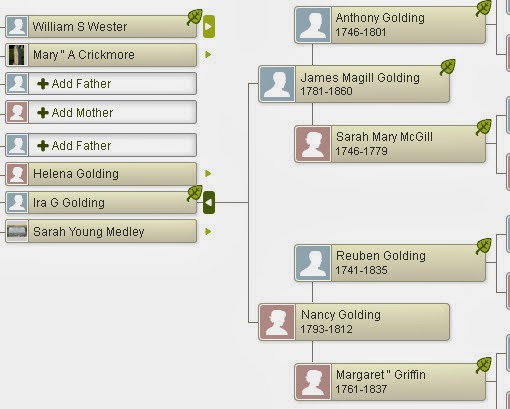 Wester Elkins Family Tree: Ira G Golding 1805