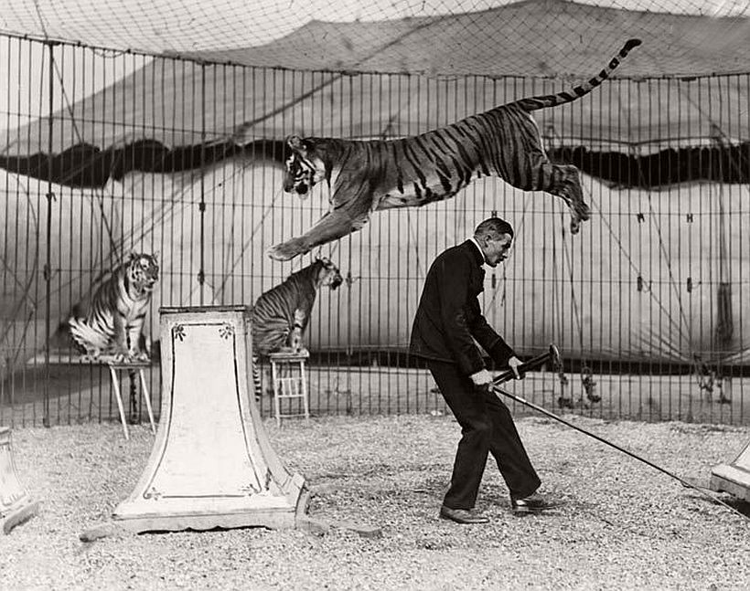 Amazing Vintage Photographs Capture Daily Life of Circus Performers of ...