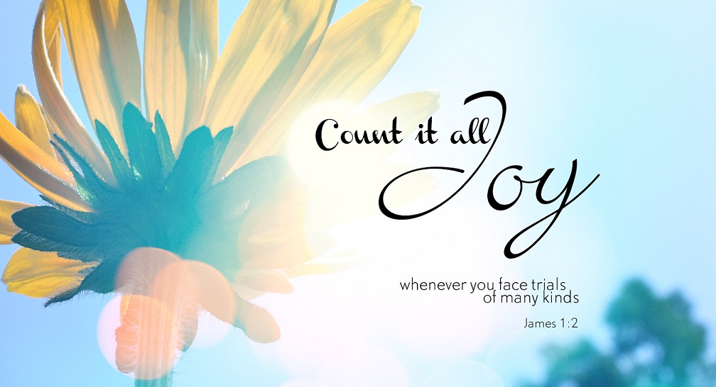 charmingsbycmh: Red Roses Annies