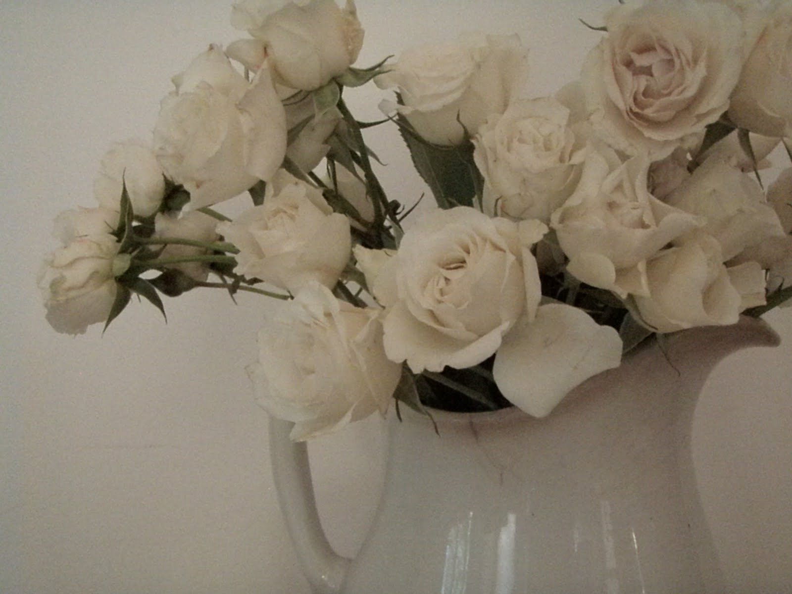 Cabin & Cottage : White Roses
