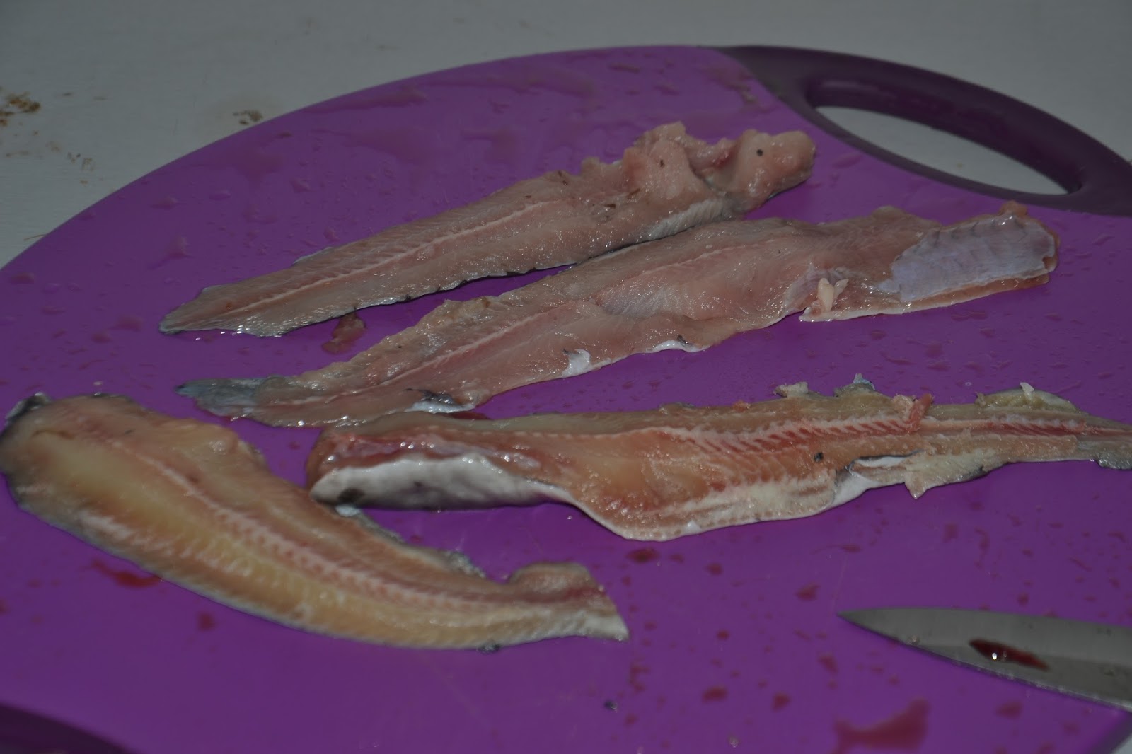 Oppdag Fisk!: Bredhodet Malle/Broadhead Catfish/Clarius Macrocephalus ...