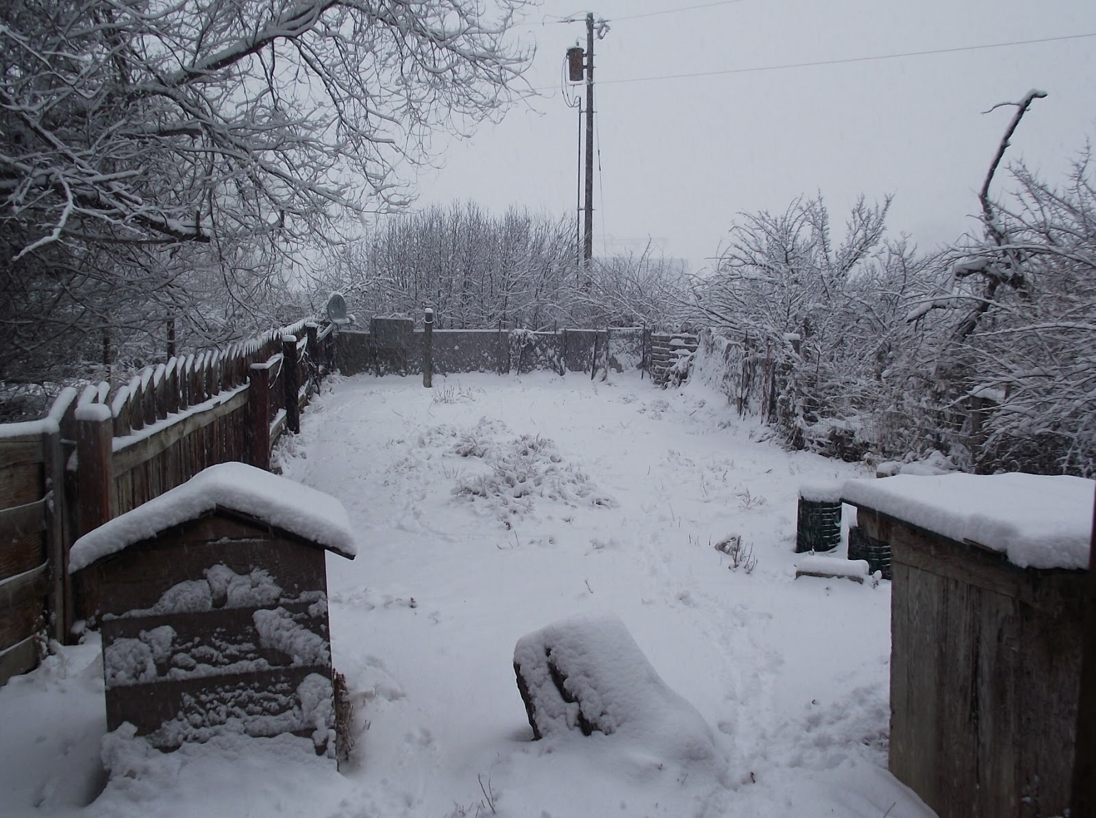 Stitchin' & Life in a Small Town: Major Snow Storm