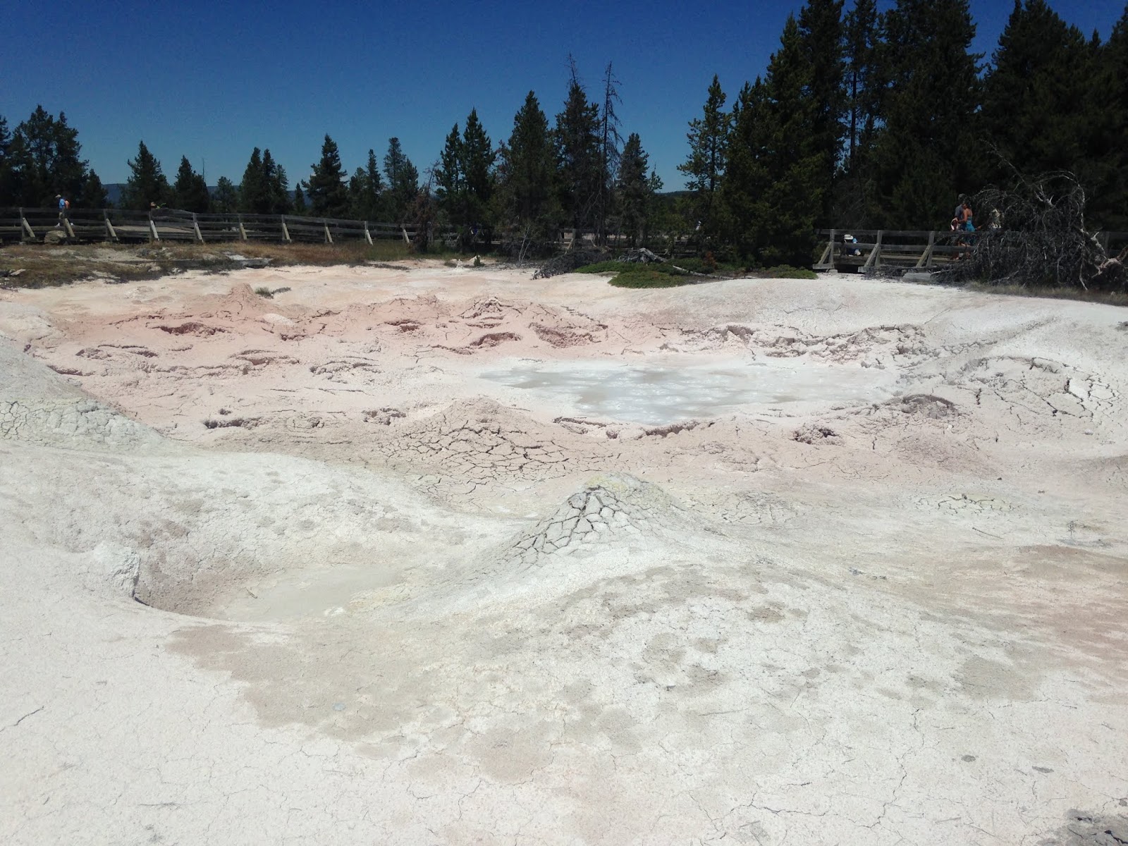 Grand Loop Road of Yellowstone National Park