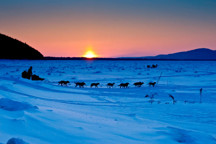 Every Day Is Special: February 2 – Serum Run, AKA the Great Race of Mercy